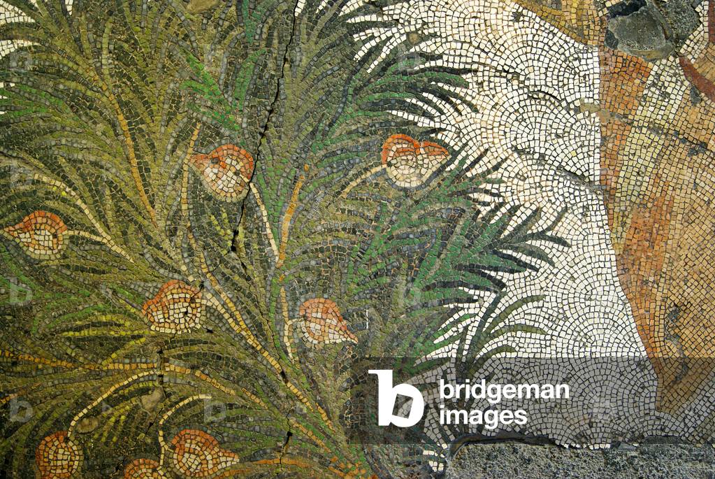 Mosaic depicting fruit tree, Arasta Bazaar, Sultan Ahmet Mosque, Istanbul.