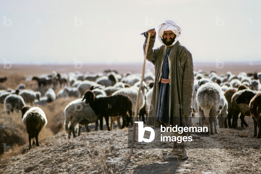Image of Between Mermazeed and Mazar, shepard with Karakul Sheep., 1968 ...