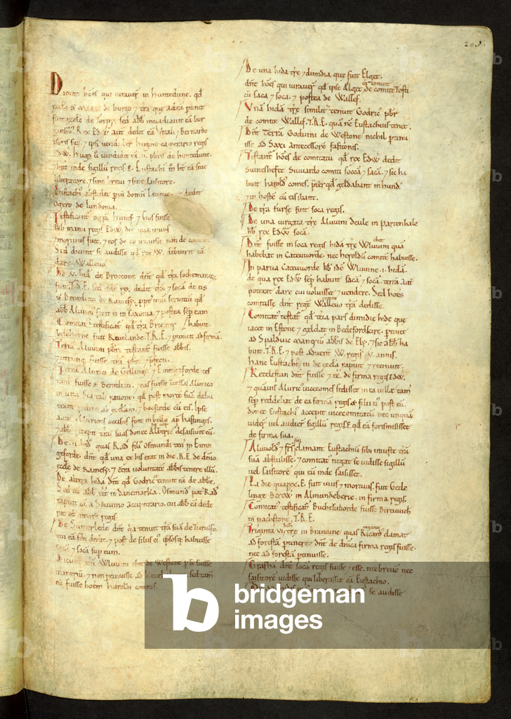 Image of Great Domesday Book, fol. 208r, 11th century (ink on parchment ...