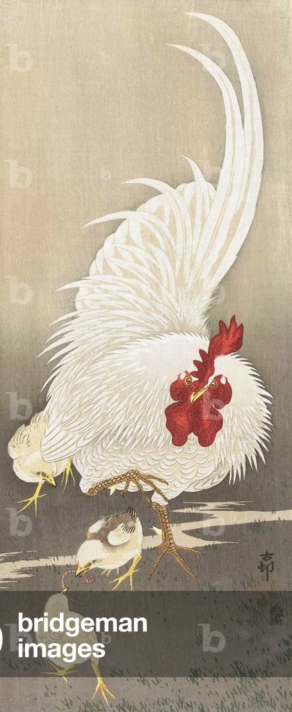 Japanese Rooster Art