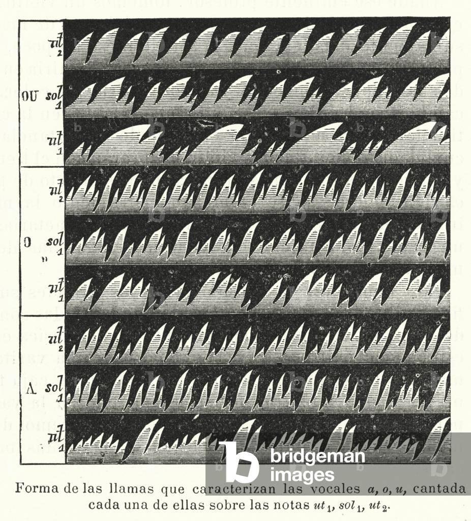 Image of Bunsen flame of a manometric flame apparatus to visualise ...