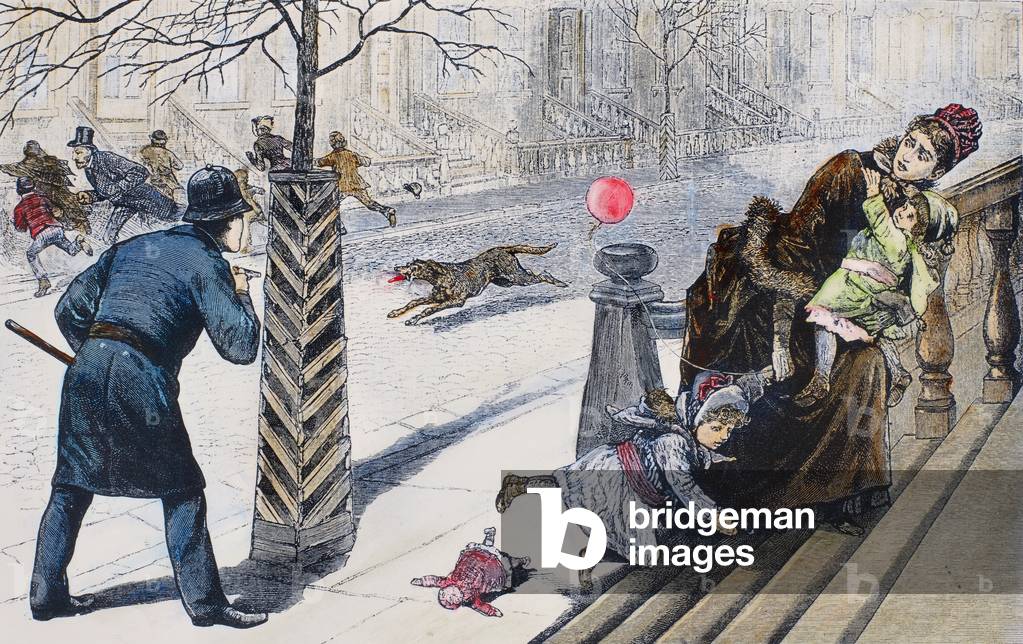Disegno Cane Pazzo Trasformare Il Cane Pazzo In Un Lord Gentile