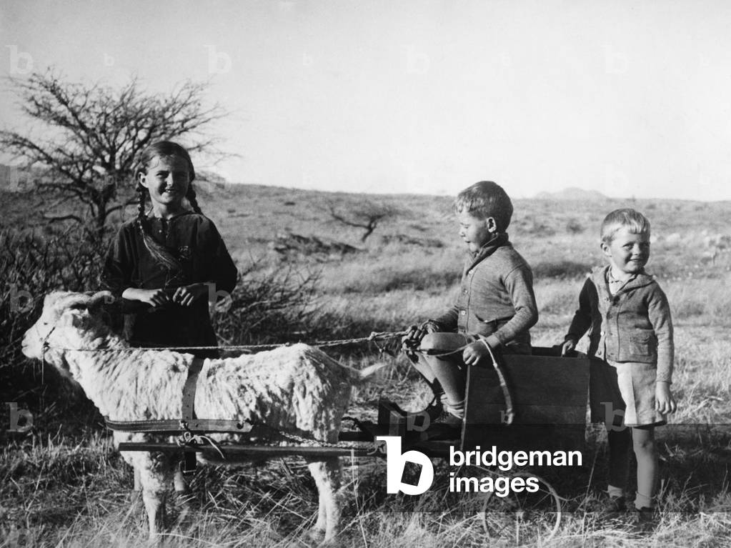 Image of German children in Namibia, 1935 (b/w photo)