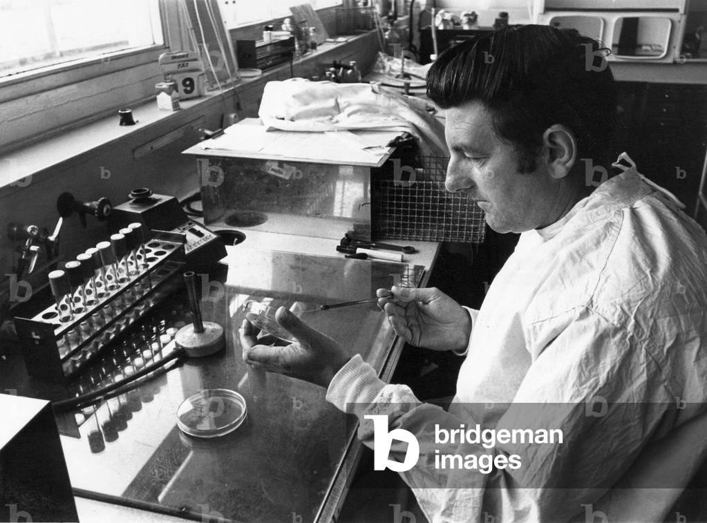 Image of Scientists at Porton Down are busy in a fight to