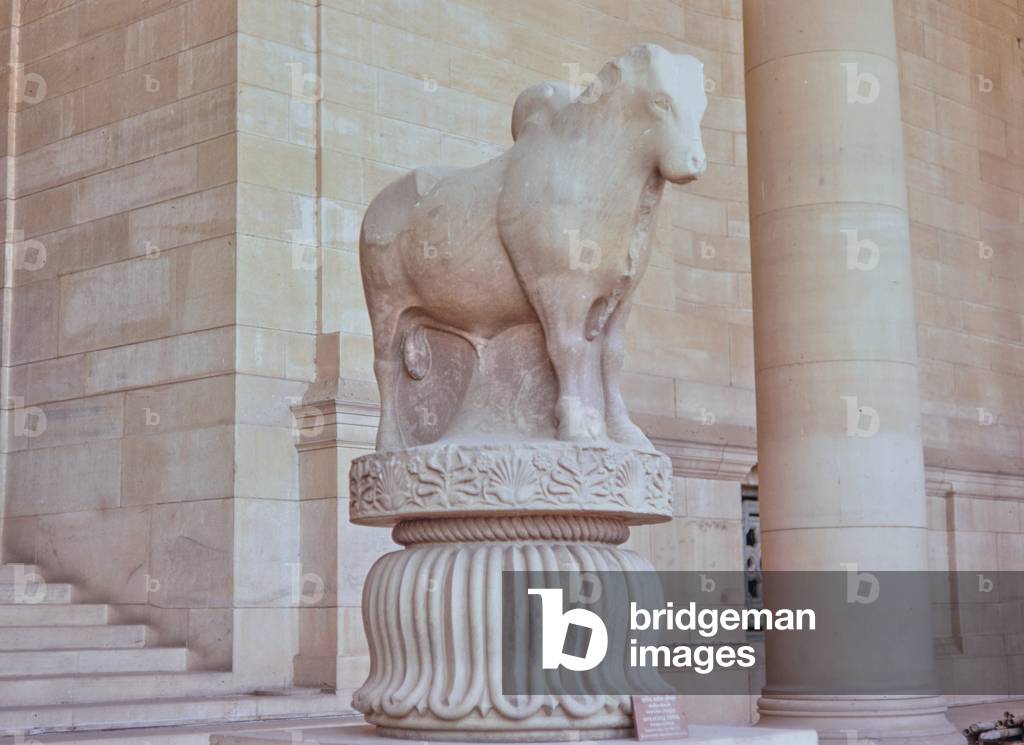 Image of Asoka Bull Capitol, Maurya, Rajphati Bhavan, New Delhi, India ...