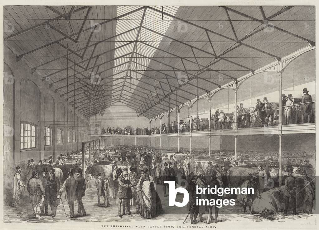 Image of The Smithfield Club Cattle Show, 1851, General View (engraving) by English School ...