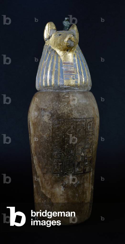 Image of Canopic jar with jackal's head, symbol of Duamutef, funerary ...
