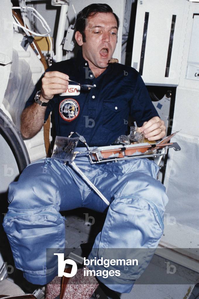 Francis Scobee Astronaut