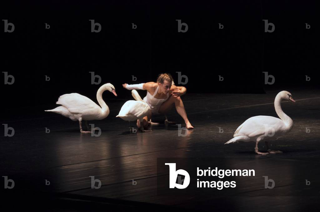 Image of Ballet with swans and dancers