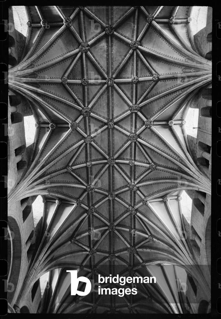 Image of Detailed view of the lierne vaulted ceiling in the nave
