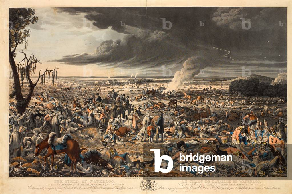Image of The Field of Waterloo, as it appeared the morning after by ...