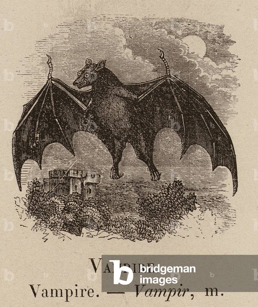 Image of Le Vocabulaire Illustre: Vampire; Vampir (engraving) by ...