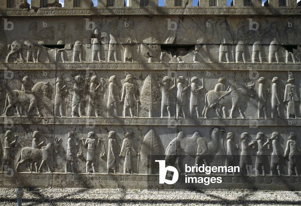 Image of Tribute bearers, bas-relief in Apadana palace, Persepolis ...