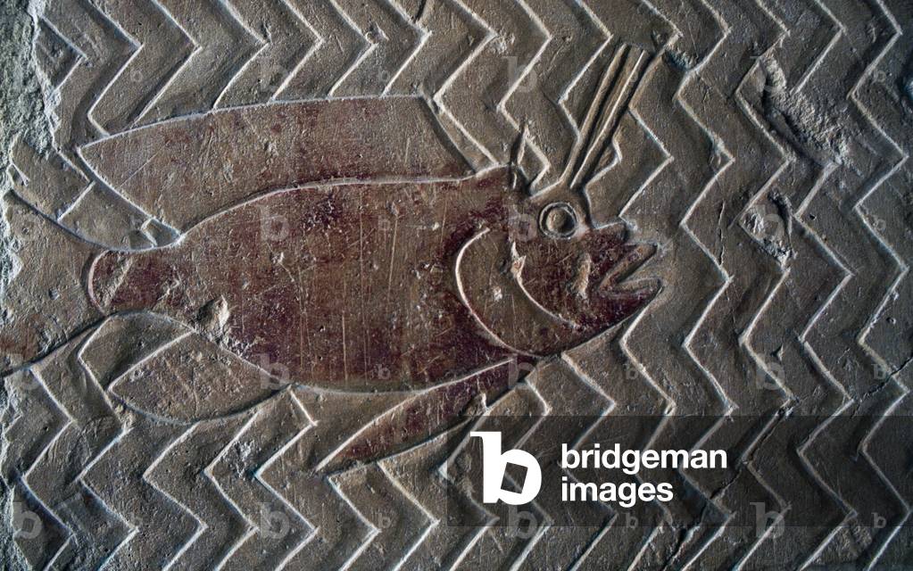 Image of Depiction of fish, scenes of Kingdom of Punt, southern wall by ...
