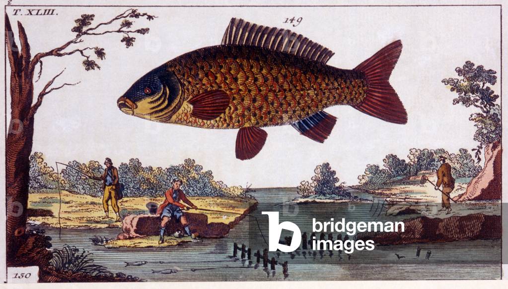 Image of Fish and Fishermen, Hand-Colored Woodcut, Circa 1800