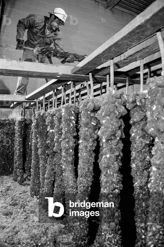 Image of Anodes of copper formed in electrolytic refining of copper ...