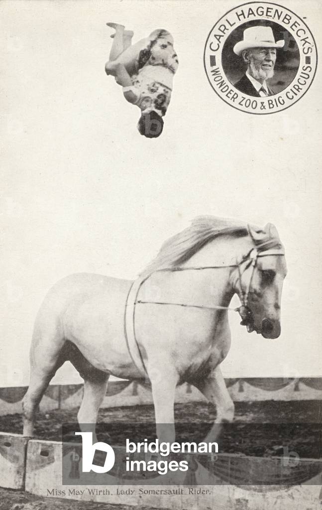 Image of Stunt horse rider May Wirth performing a somersault, Carl Hagenbeck's by English ...