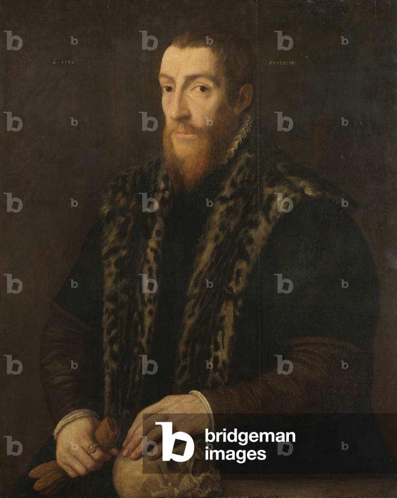 Image of Portrait of a Man with a Skull, 1550 (oil on by Coecke van ...