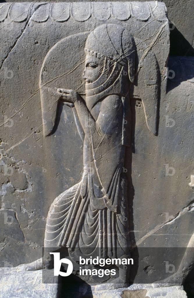 Image of Tribute bearers, bas-relief, Persepolis (Unesco World Heritage ...