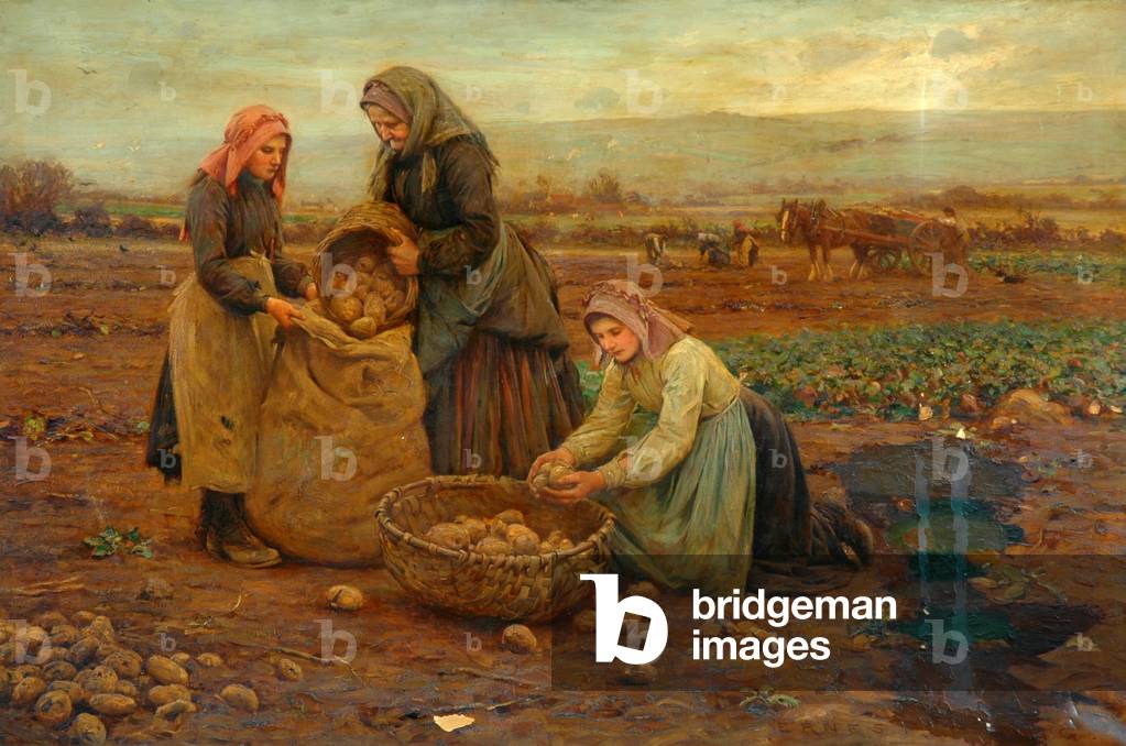 Image of The potato pickers (oil on canvas) by Rigg, Ernest Higgins ...