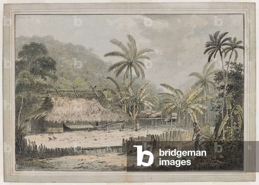 Image of A view of the interior of an island, showing a