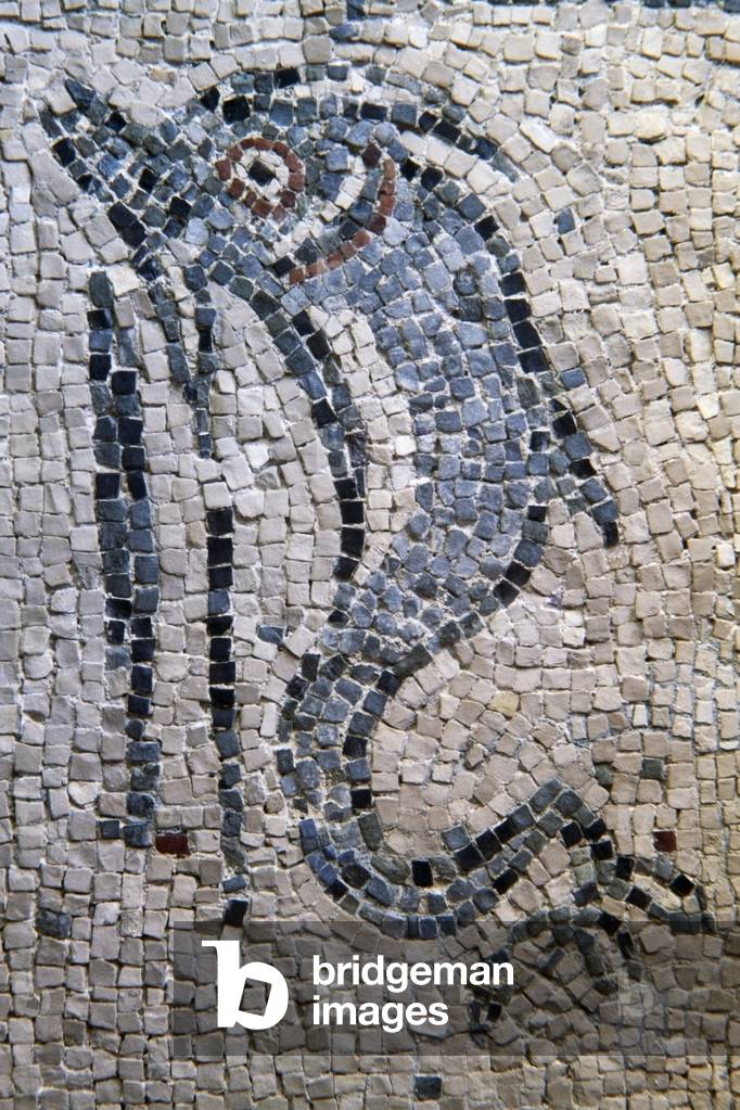 Image of Dolphin, mosaic, Roman civilization, 3rd century AD
