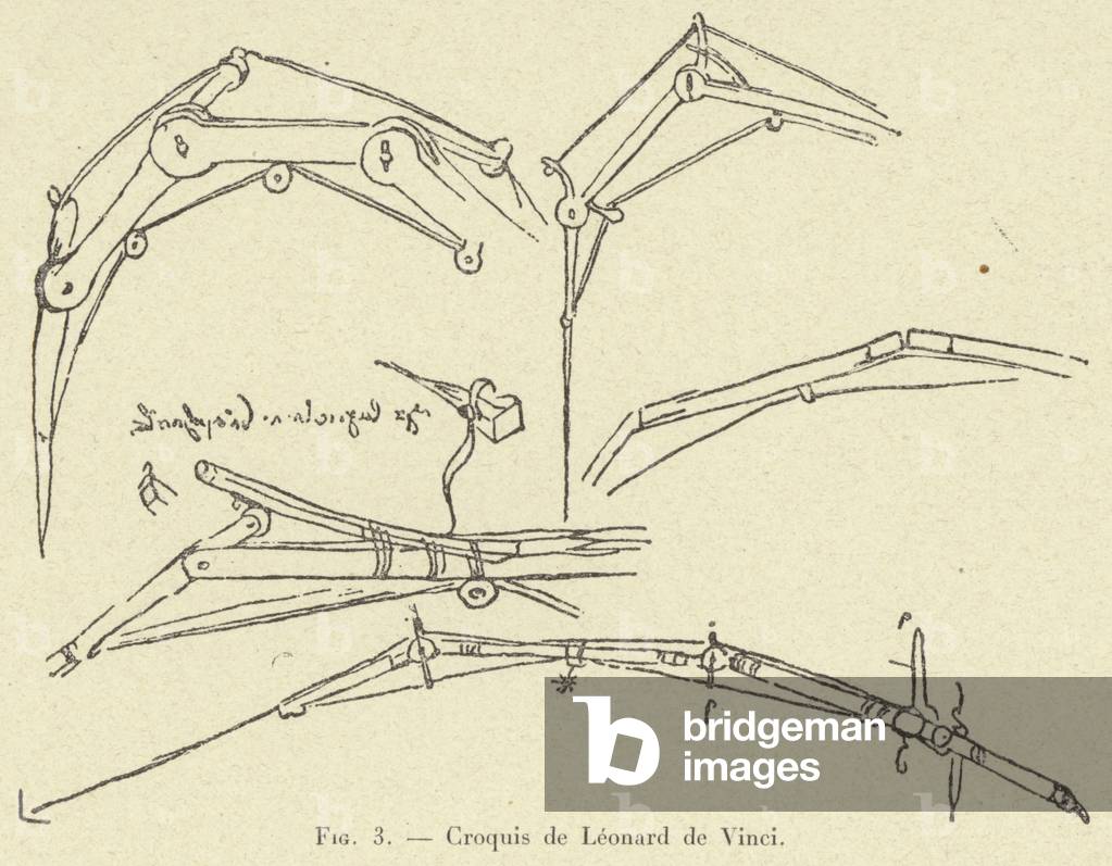 Image of Croquis de Leonard de Vinci (engraving) by French School ...