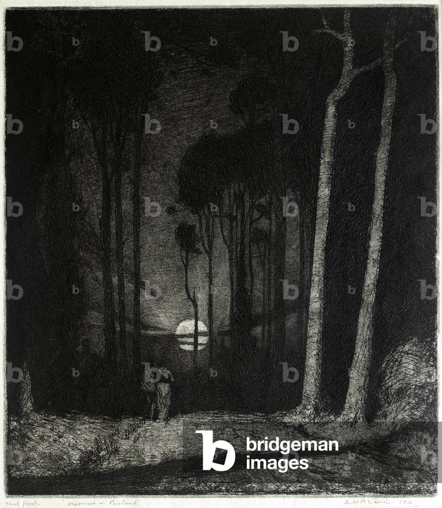 Image of Moonrise in Pineland, 1914 (etching) by Ward, Leslie Moffat ...