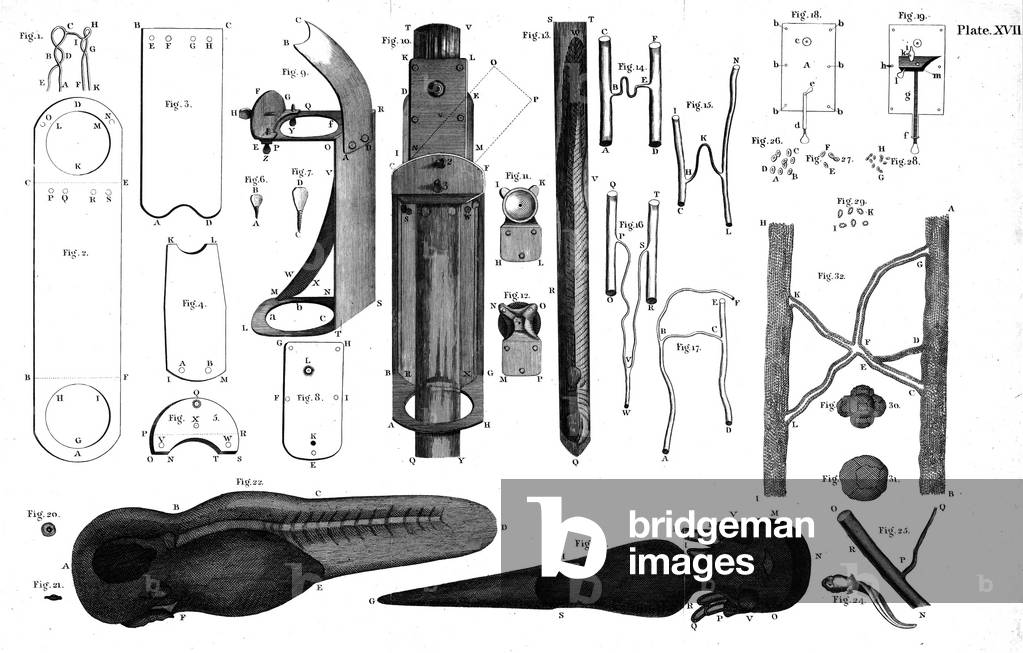 Microscopio Anton Van Leeuwenhoek Microscopes Q Files Search