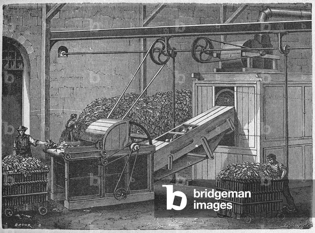 Image of Papermaking: mechanical rag cutter. c.1880 (Engraving)