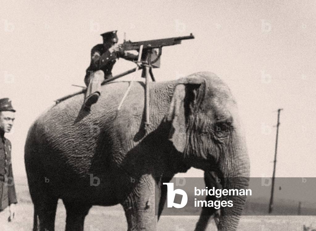 Image of Publicity photo of an American corporal aiming a Colt M1895