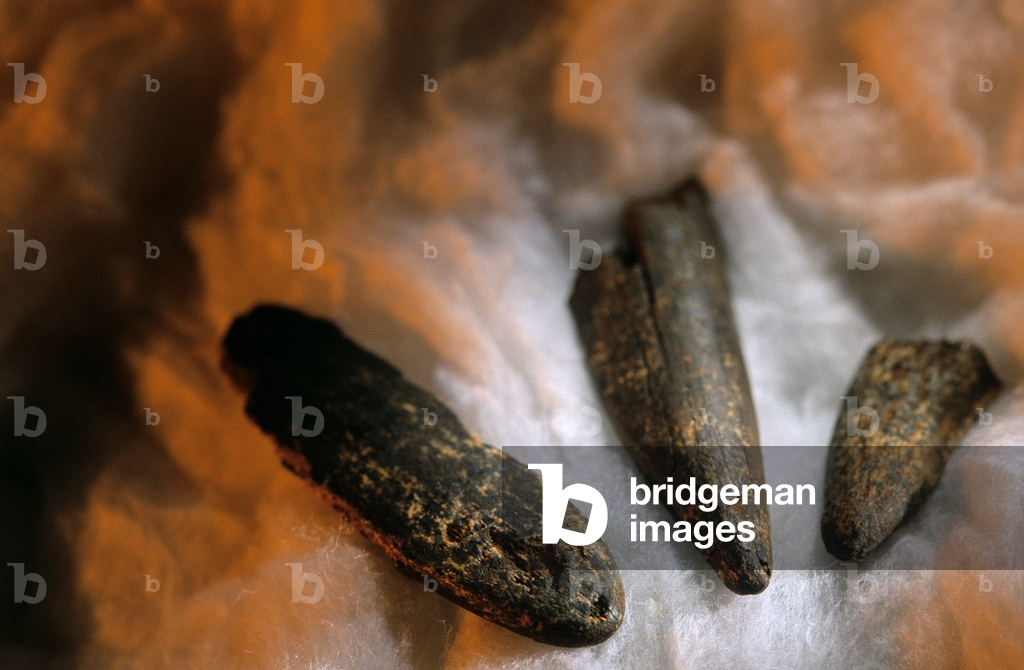 Image of Sharpened bone points used for digging,From Drimolean Site ...