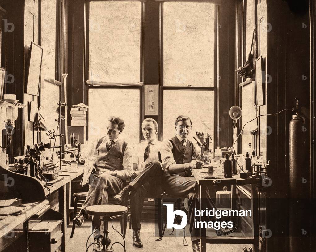 Image of Group Portrait of Three Scientists in a Laboratory, c.1910 (silver