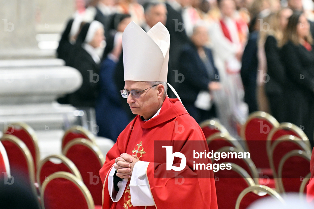 Image of Cardinal Robert Francis Prevost, Pope Leo XIV (photo)
