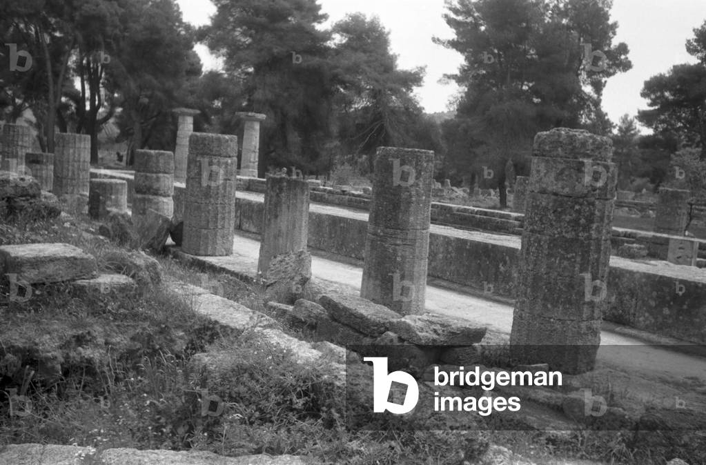 Image of Greece - Column shafts as remains of ancient Olympia, Greece