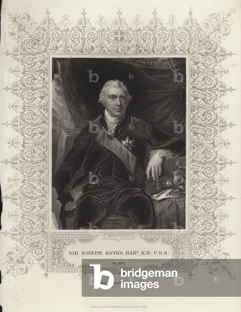 Image of Sir Joseph Banks (engraving) by Lawrence, Thomas (1769-1830 ...
