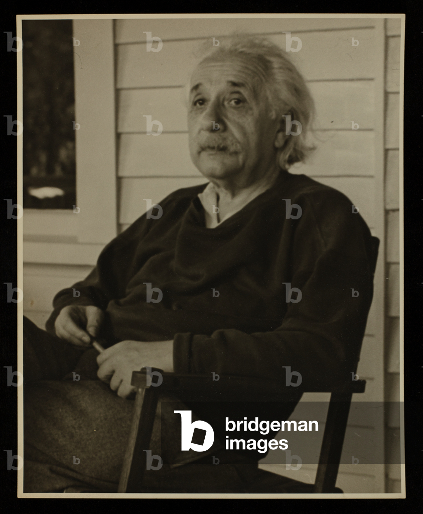 Image of Portrait of Albert Einstein (photo)