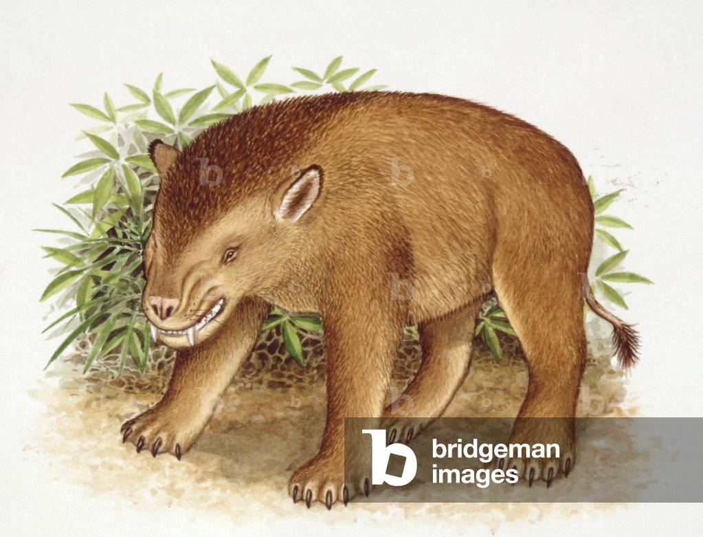 Image of Illustration of Titanoides (Titanoides primaevus) (photo)