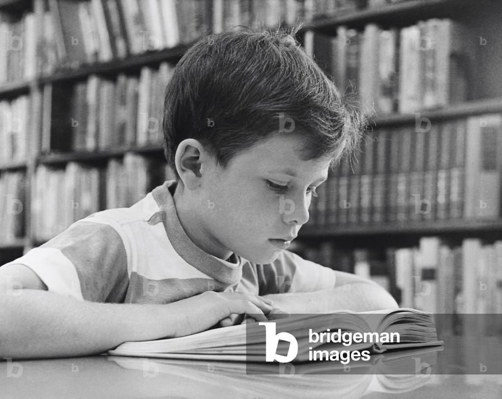 Image of Boy reading a book
