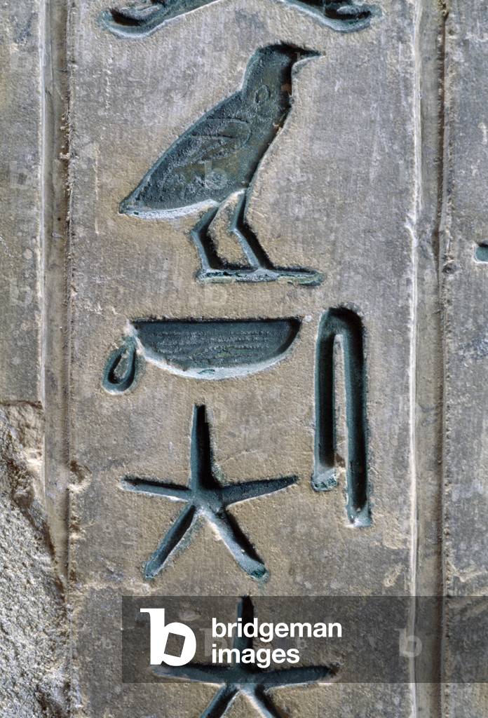Image of Hieroglyphs of the burial chamber, pyramid of Pepi I, necropolis