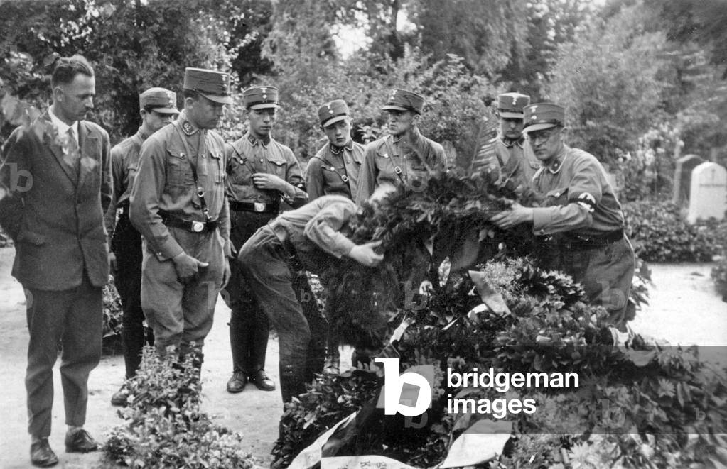 Image of Weimar Republic - Build up of Nazi power 1931