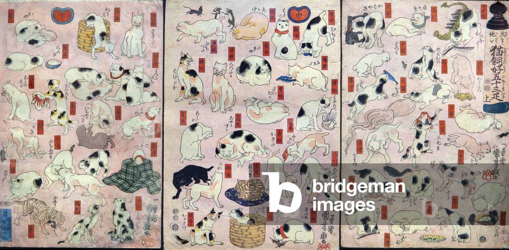 Image of Fifty-three Cats as Puns for the Names of the Station by ...