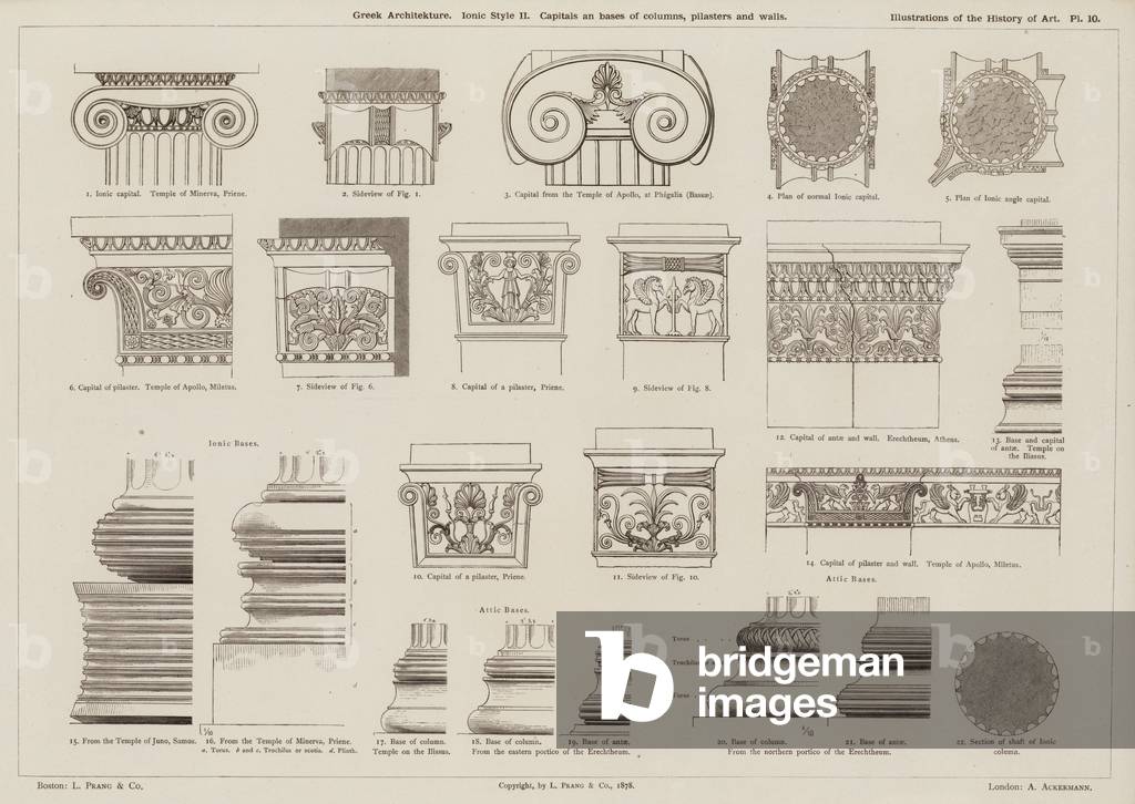 Types De Colonnes D'architecture Grecque Papier Peint Colonnes