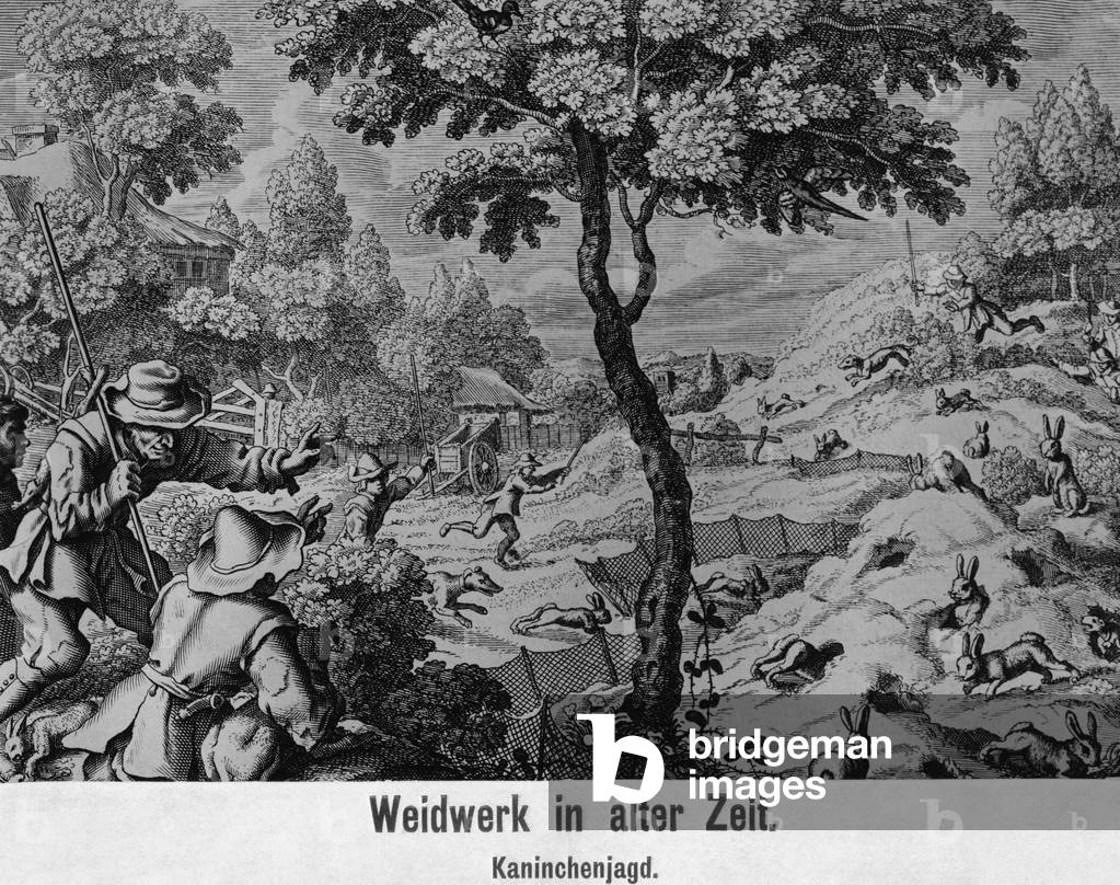 Image of Rabbit hunt, around 17th century