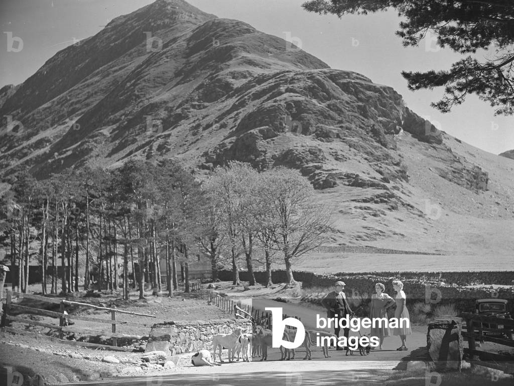 Image of Man with dogs talking to two women in road with by Hardman ...