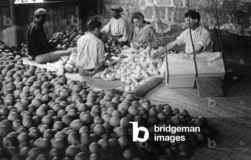 Image of Jewish workers packing oranges in Palestine, 1937