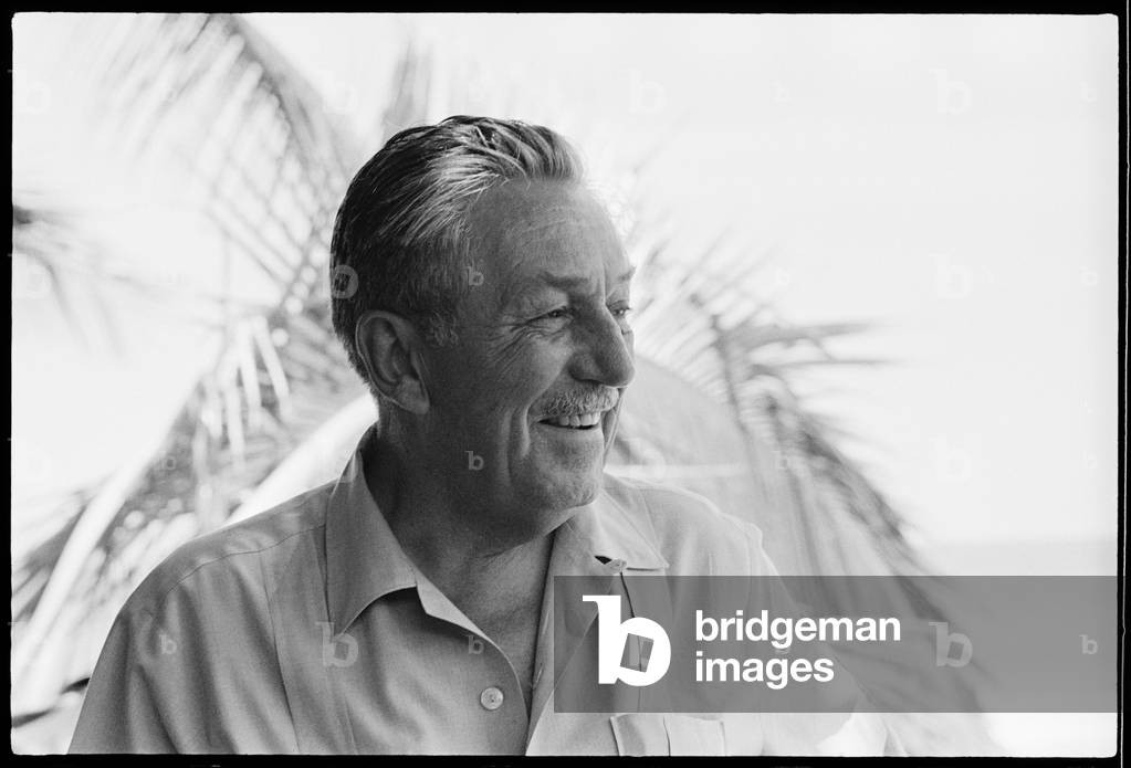 Image of Walt Disney portrait, 1966 (b/w photo) by Suero, Orlando (1925 ...