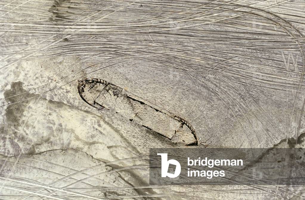 Image of Shipwreck in Desert, Conception Bay, Namibia, Africa (photo)
