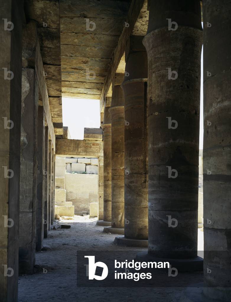 Image of View of the Festival Hall of Thutmose III, Temple of by ...