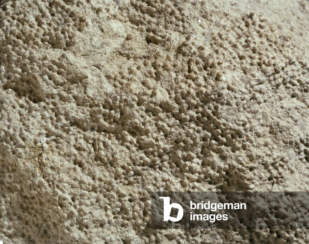 Oolitic Limestone Geology – Church Monuments Society